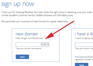 The Do It Yourself Guide on How to Start a Blog